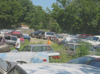Halls Auto Garage, Halls (TN)